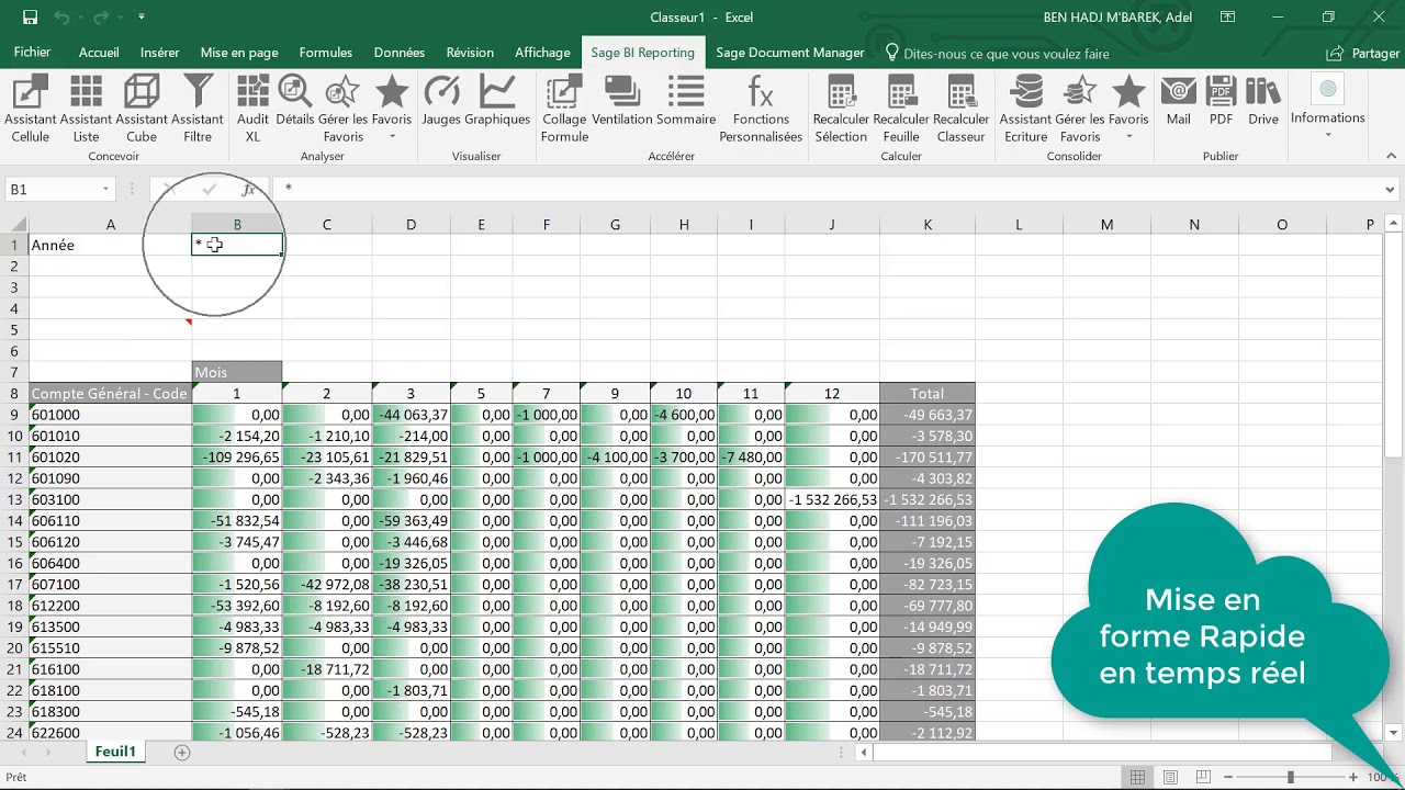Sage 100 BI Reporting - DÉFIS